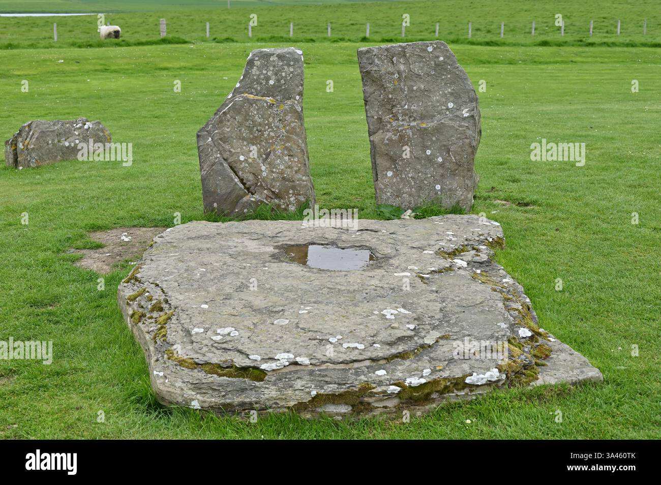 Standing stones of Stenness Circle and Henge, Neolithic site Orkney ...