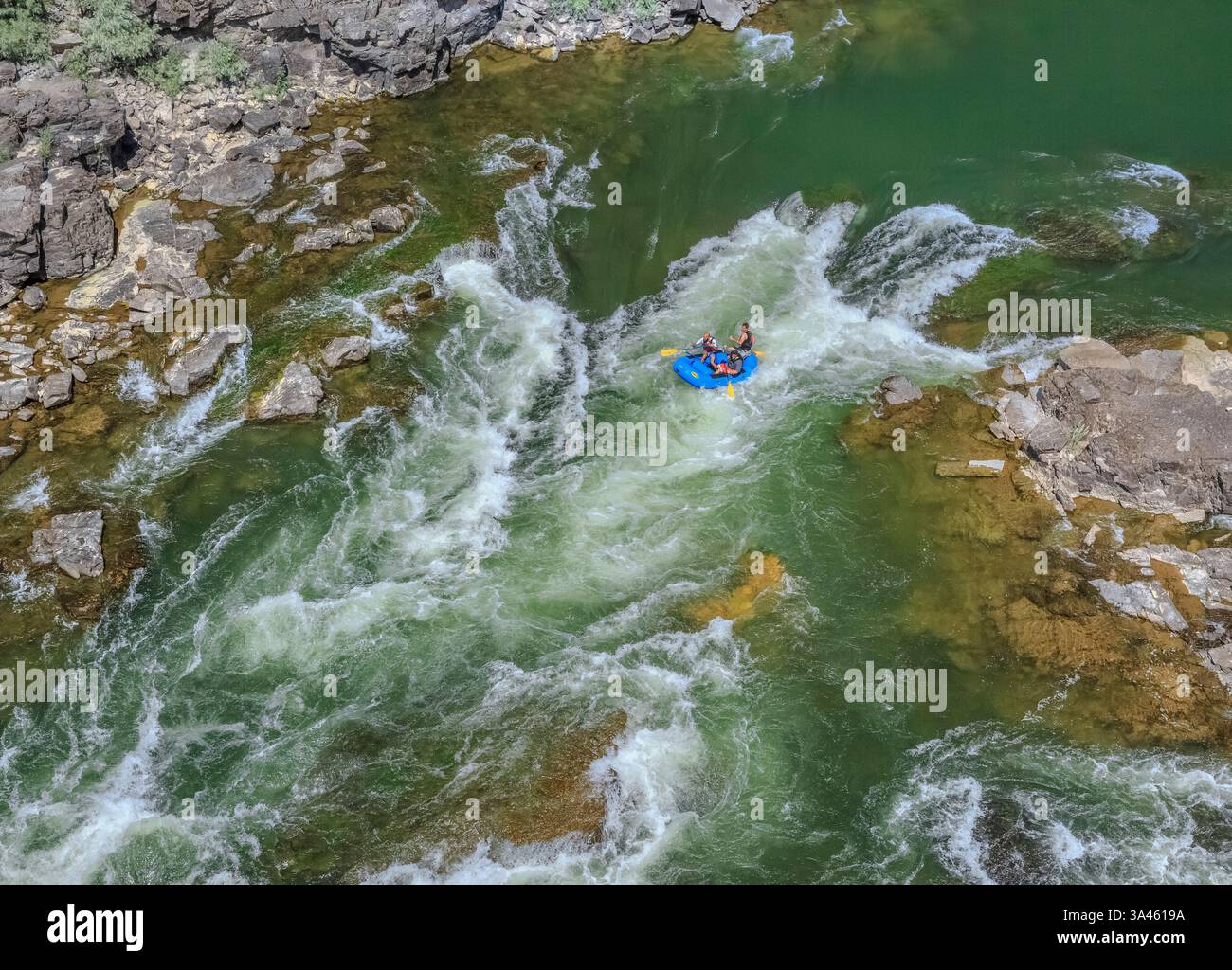 rafters shooting fang rapids in alberton gorge on the clark fork river ...