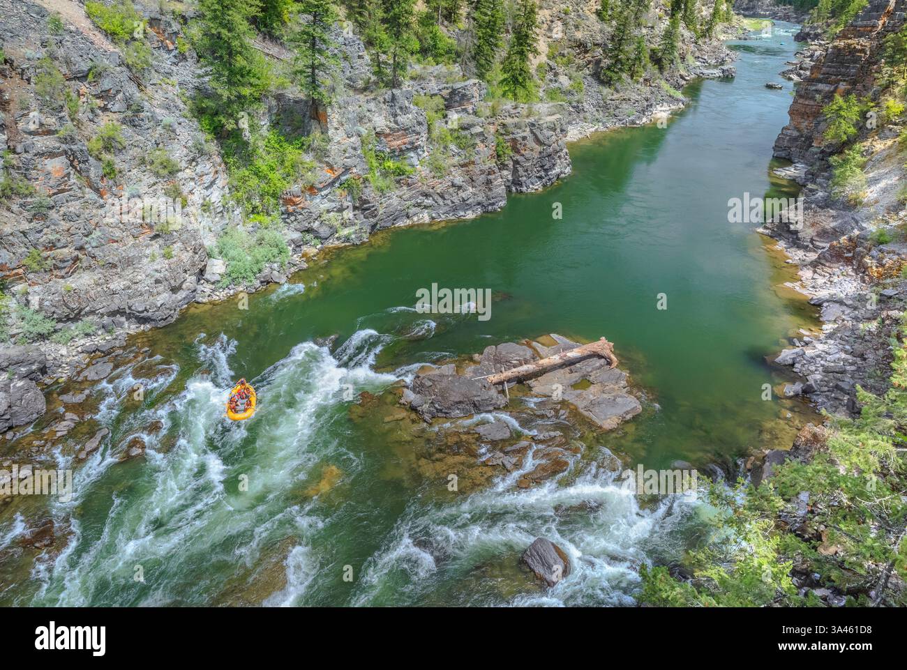 rafters shooting fang rapids in alberton gorge on the clark fork river ...