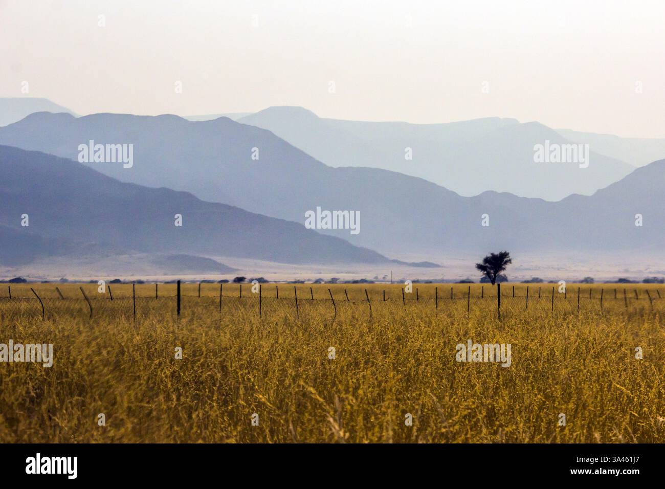 Distant blue mountains rising above the grassy plains of the pro-Namib ...