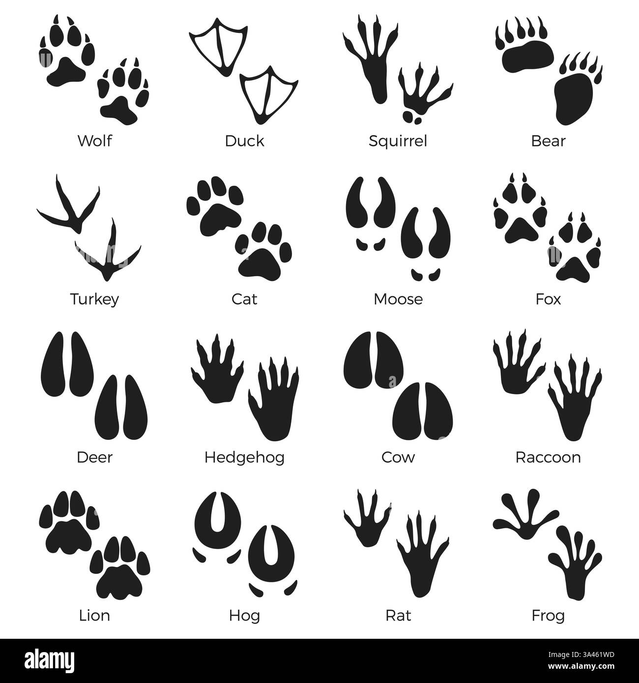 Animals footprints black silhouettes. Birds, reptiles and mammals feet ...