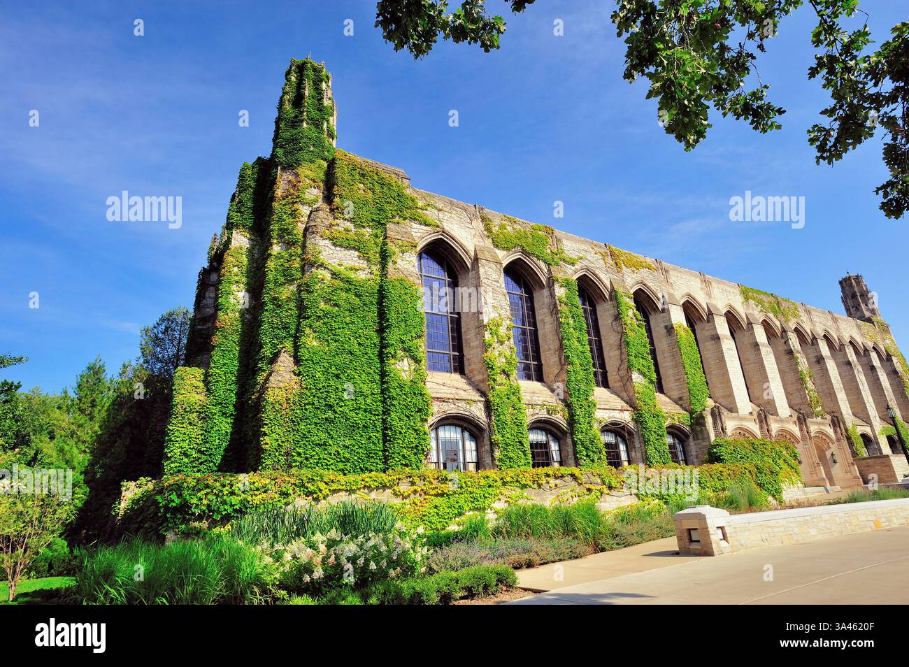 Charles deering library hi-res stock photography and images - Alamy