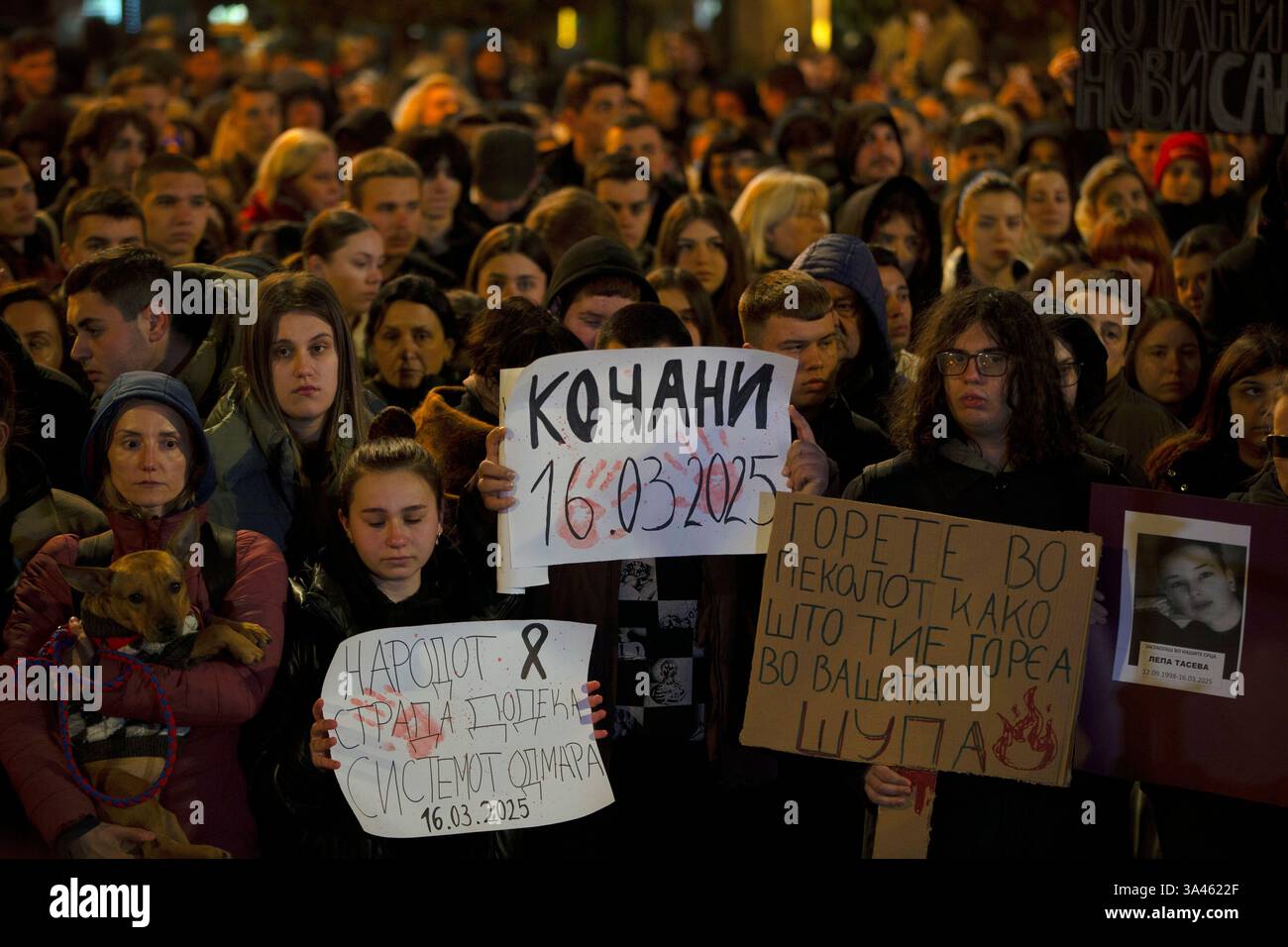 Protesters hold placards as thousands gather in protest for the victims ...
