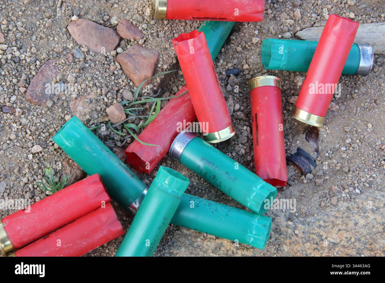 Red and green expended 12 gauge shotgun shells on the ground Stock ...
