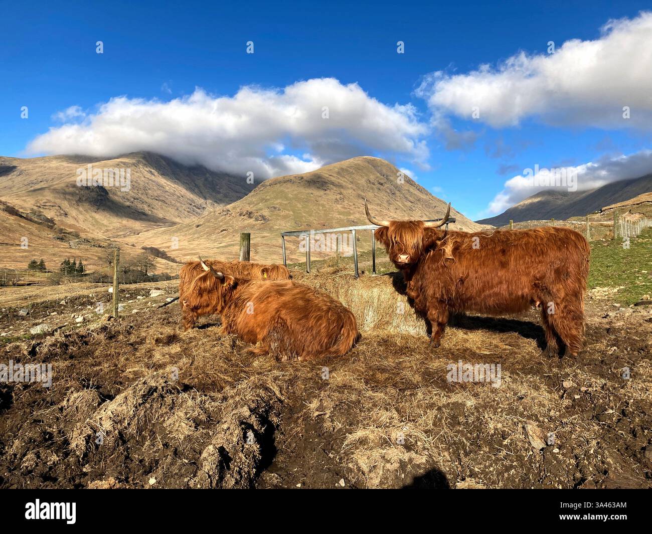 Dalmally, Scotland, UK. 18th Mar 2024. A beautiful crisp Spring day for ...