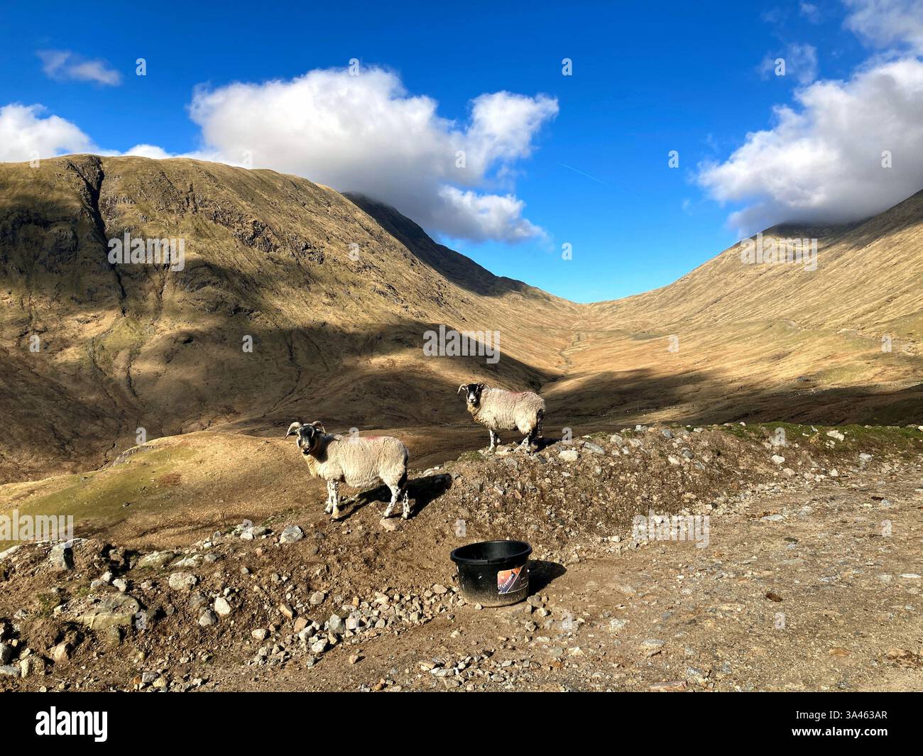 Dalmally, Scotland, UK. 18th Mar 2025. A beautiful crisp Spring day for ...