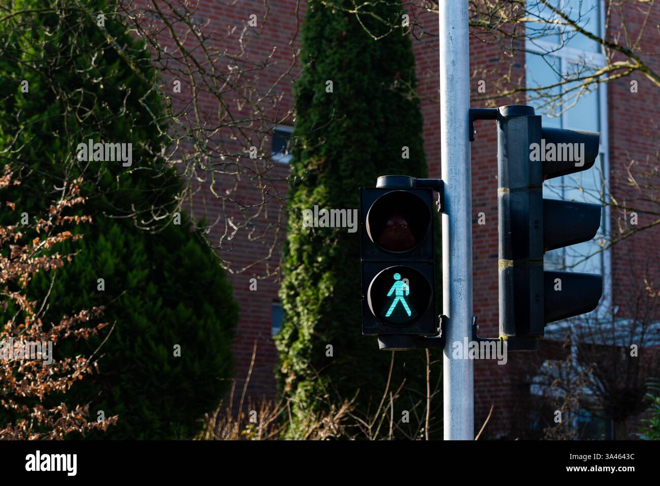 A green pedestrian signal is illuminated, indicating safe crossing for ...