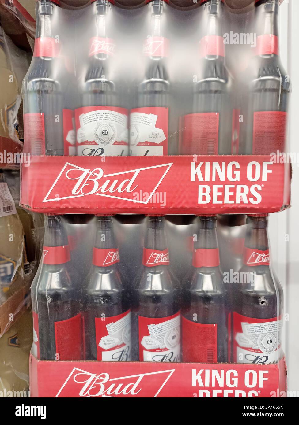 Stacked budweiser beer bottles in packaging display Stock Photo - Alamy