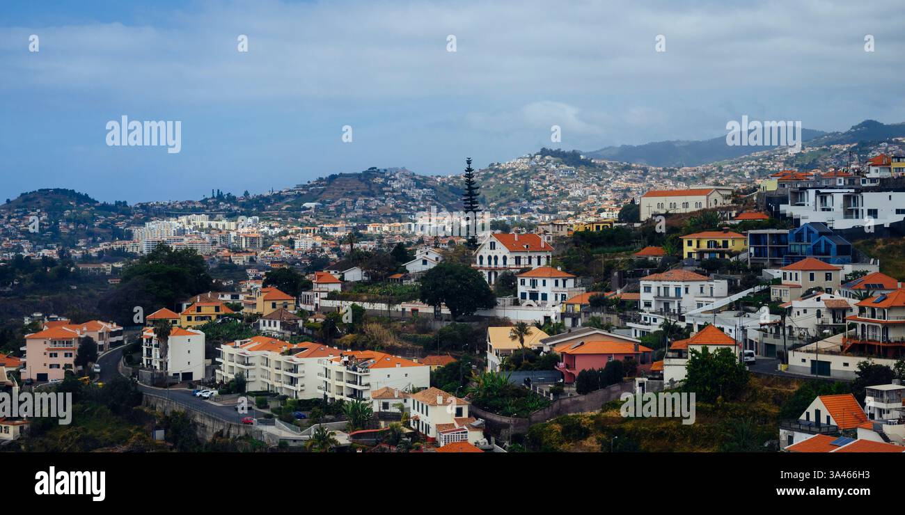 houses on the hillside of Funchal, Madeira, Portugal Stock Photo - Alamy