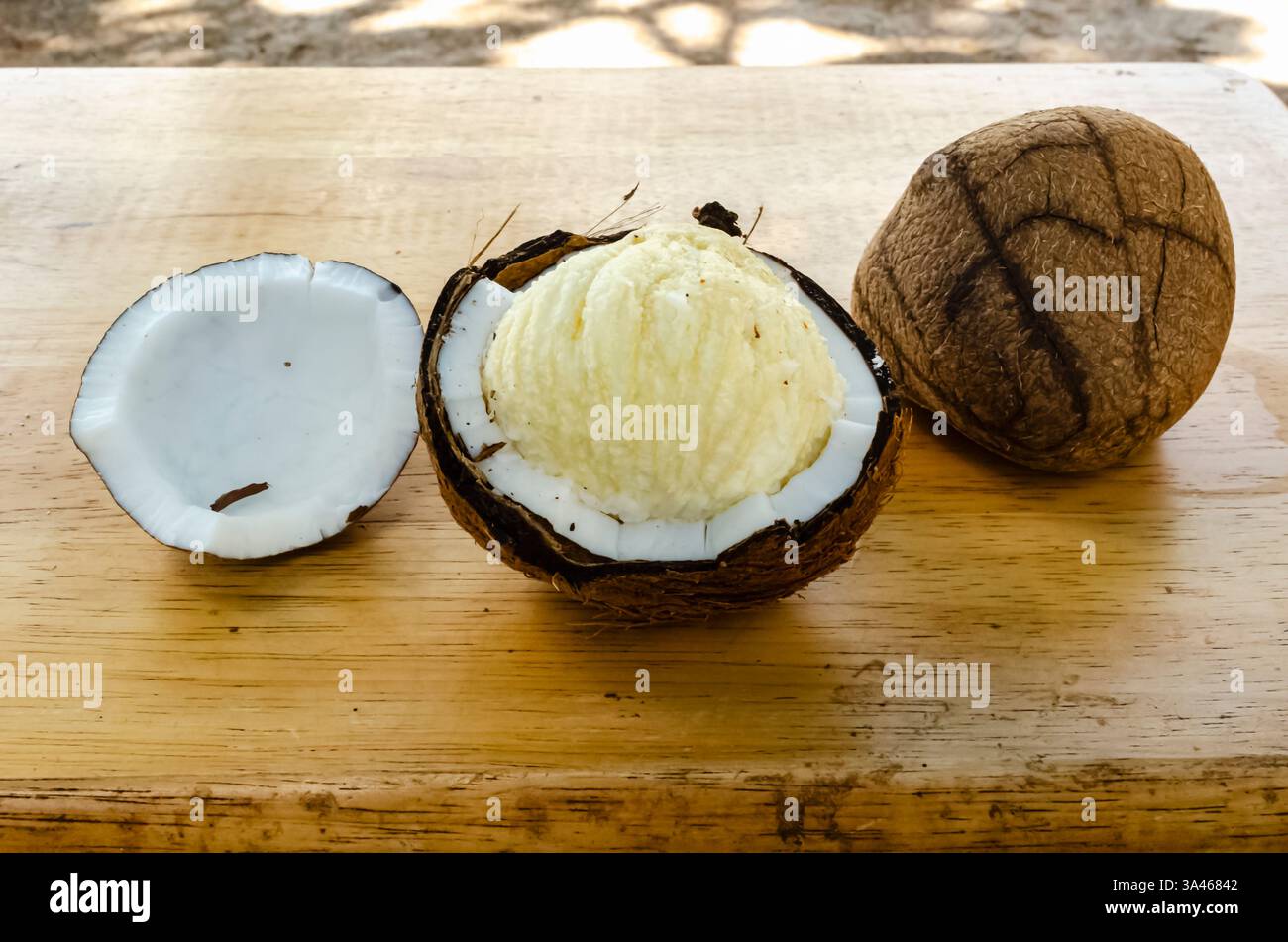 A broken Coconut Endosperm, a Broken Coconut with an Embryo, and a ...