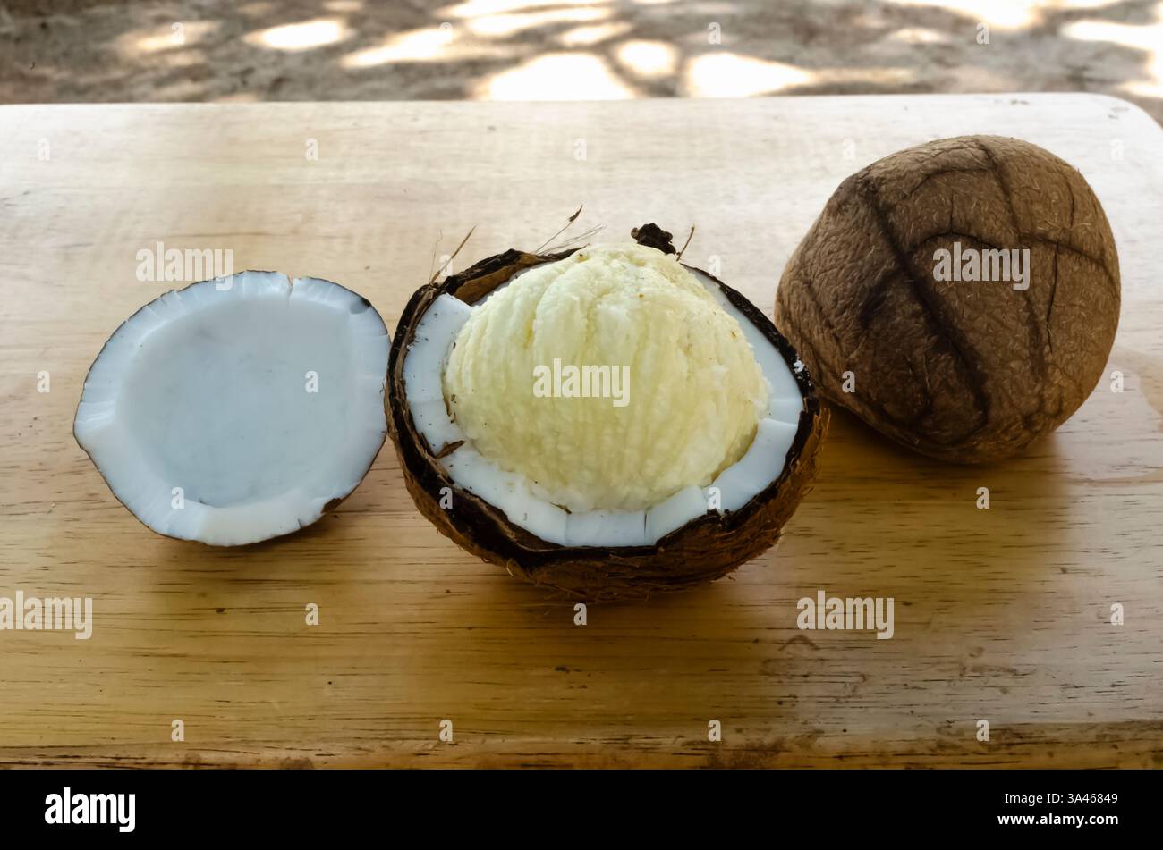 A broken Coconut Endosperm, a Broken Coconut with an Embryo, and a ...