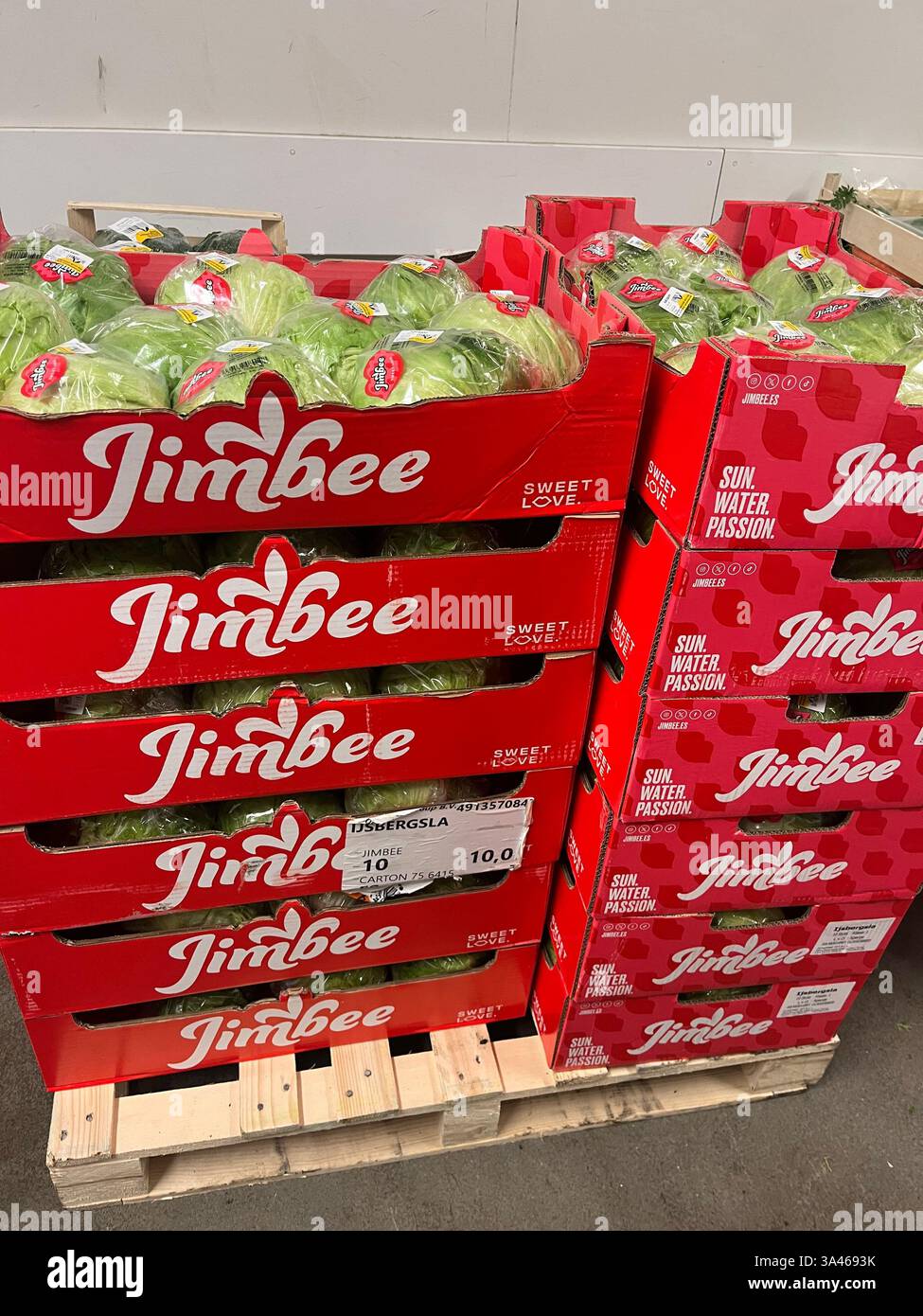 Jimbee iceberg lettuce, product of Spain, vegetables warehouse ...