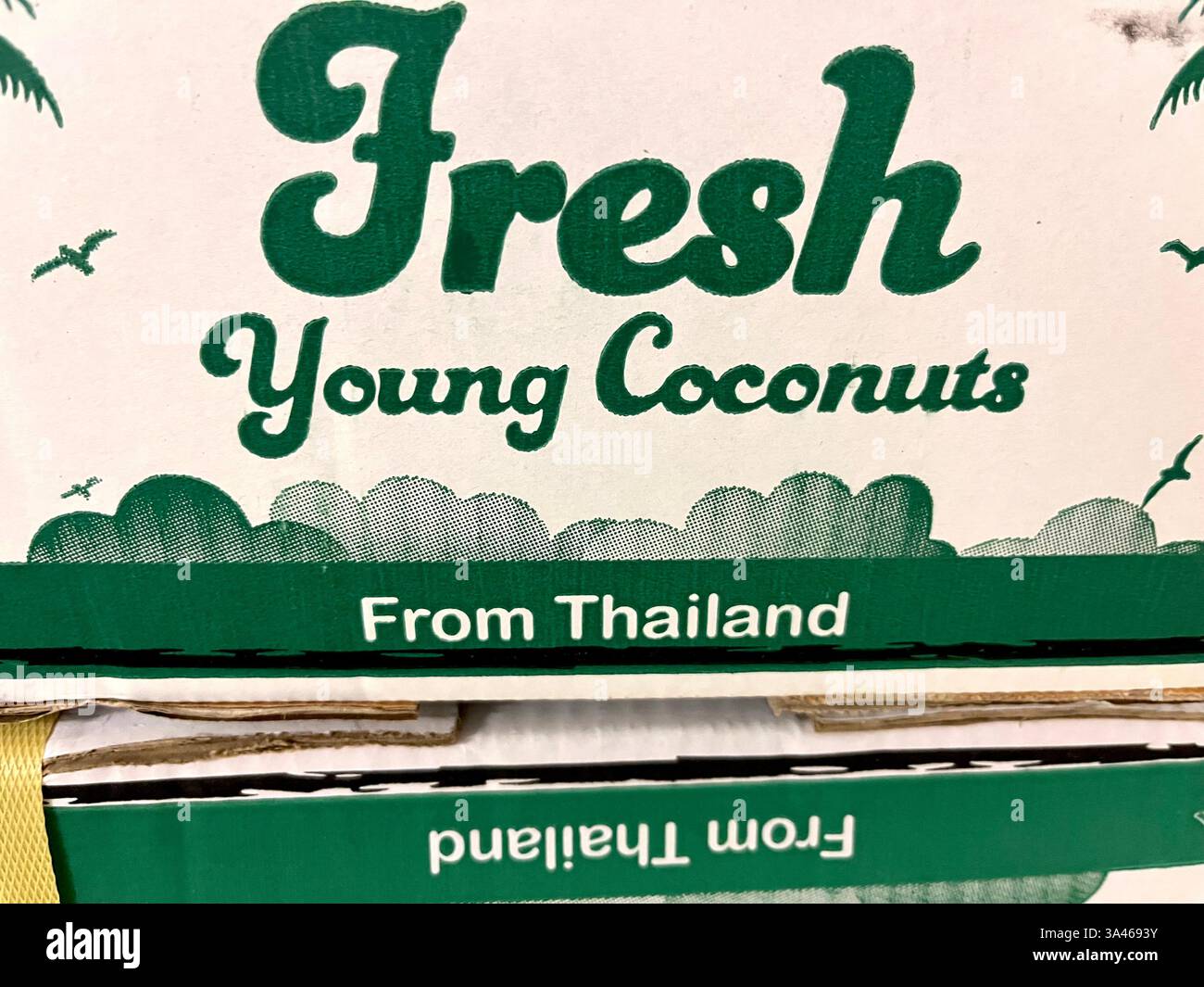 fresh young coconuts, Thailand fruits, coconuts packaging, fruits ...