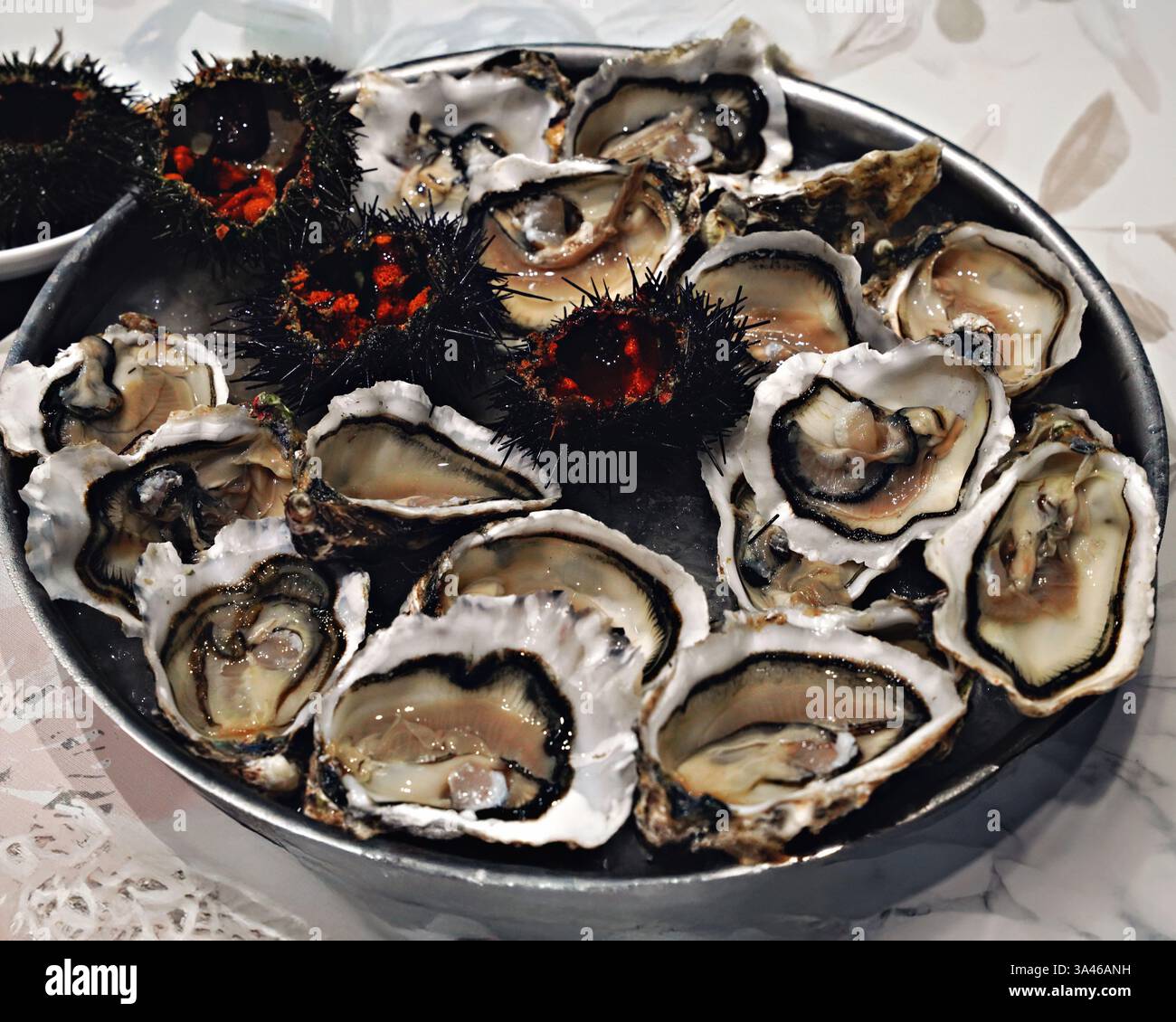 Top view of seafood platter: shellfish, oysters, sea urchin and ...