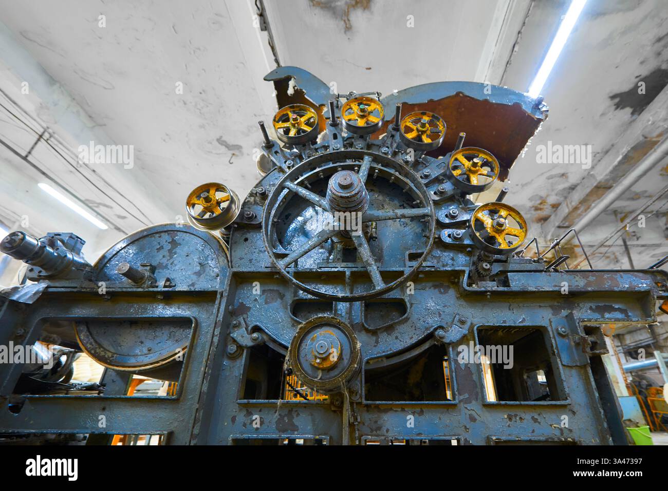 Mechanisms of felt production reveal intricate machinery and ...