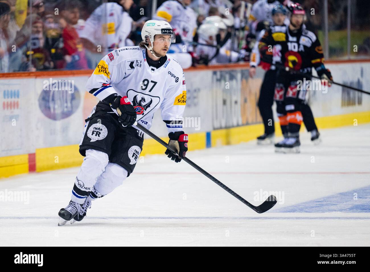 18/03/2025, Bern, PostFinance Arena, SC Bern - Fribourg-Gottéron, #97 ...