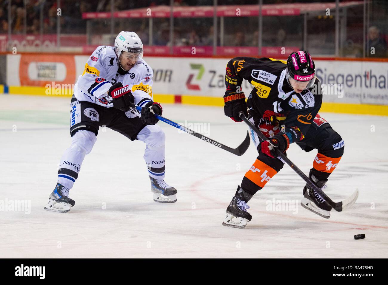 18/03/2025, Bern, PostFinance Arena, SC Bern - Fribourg-Gottéron, #34 ...