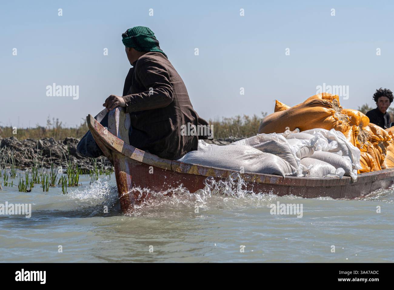 Boat trip in the Mesopotamian / Iraqi Marshes with the so called Marsh ...