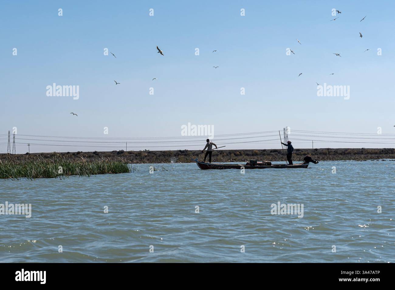 Mesopotamian Marshes, habitat of Marsh Arabs aka Madans near Basra Iraq ...