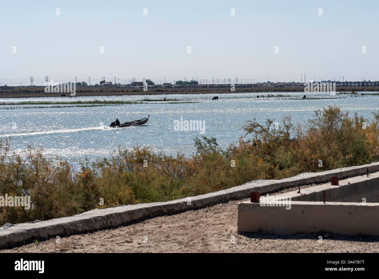 Mesopotamian Marshes, habitat of Marsh Arabs aka Madans near Basra Iraq ...