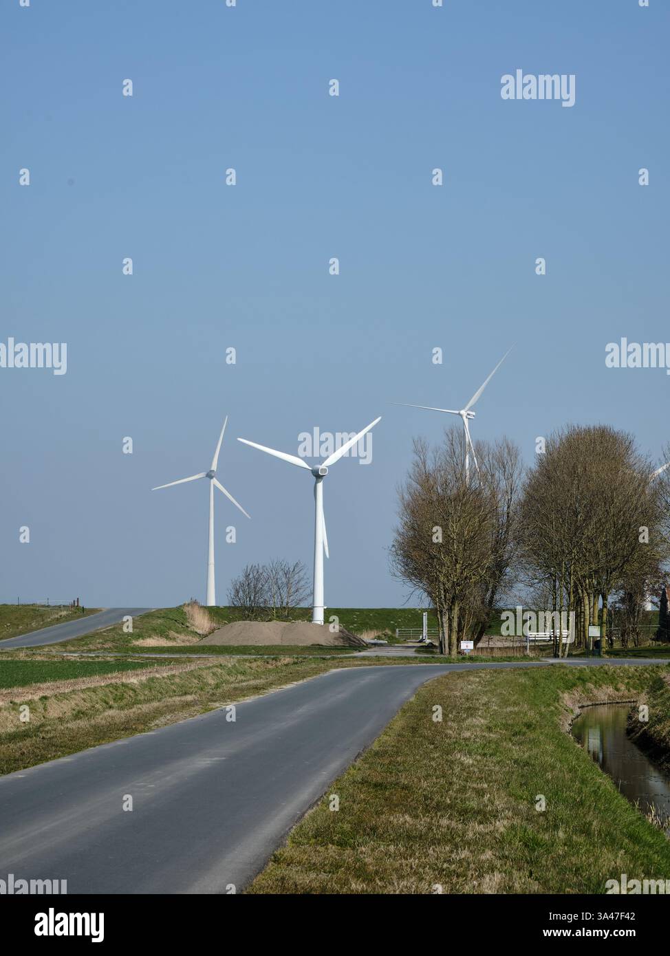 March 10, 2025 - Uithuizermeeden, Netherlands: Farm with it's own wind ...