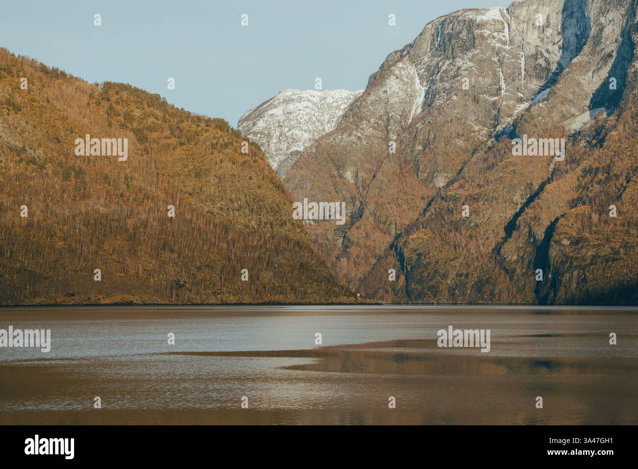 Norwegian fjords with clear water reflecting sunlit brown mountains ...