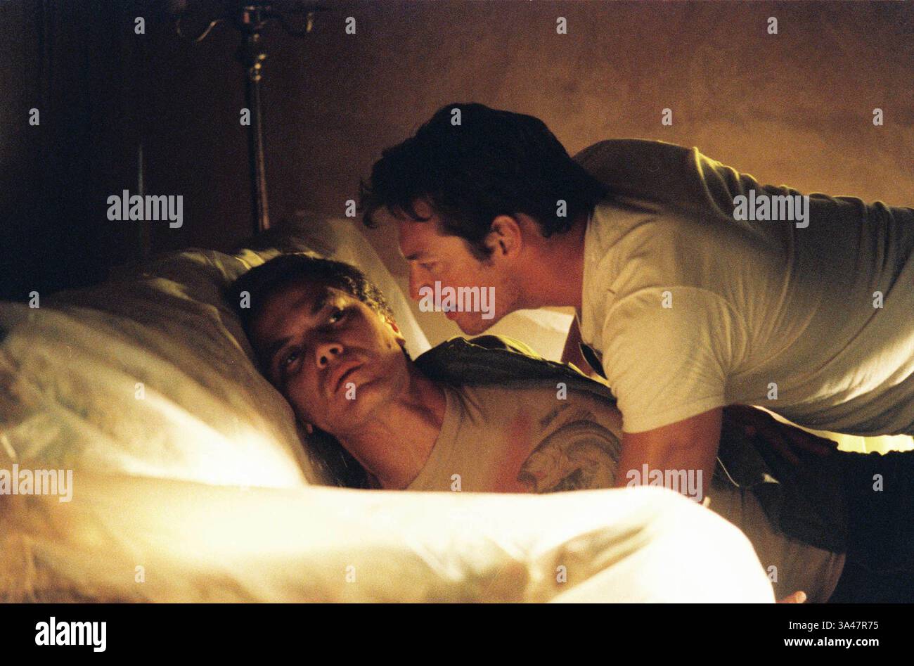 May 31, 2007 - BUG.SUPPLIED BY ES- TV-MOVIE STILL.K53367.MICHAEL ...