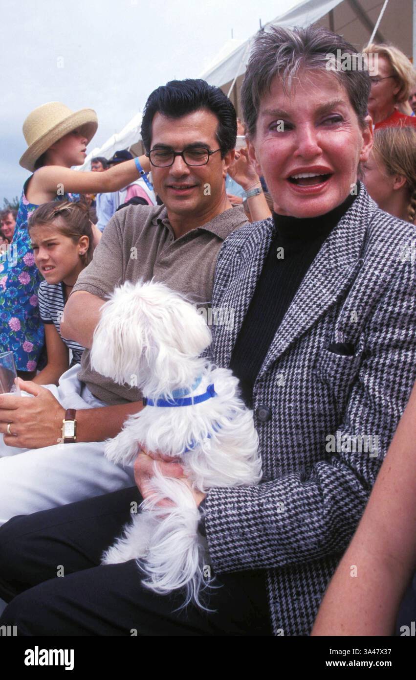 Leona helmsley dog hi-res stock photography and images - Alamy