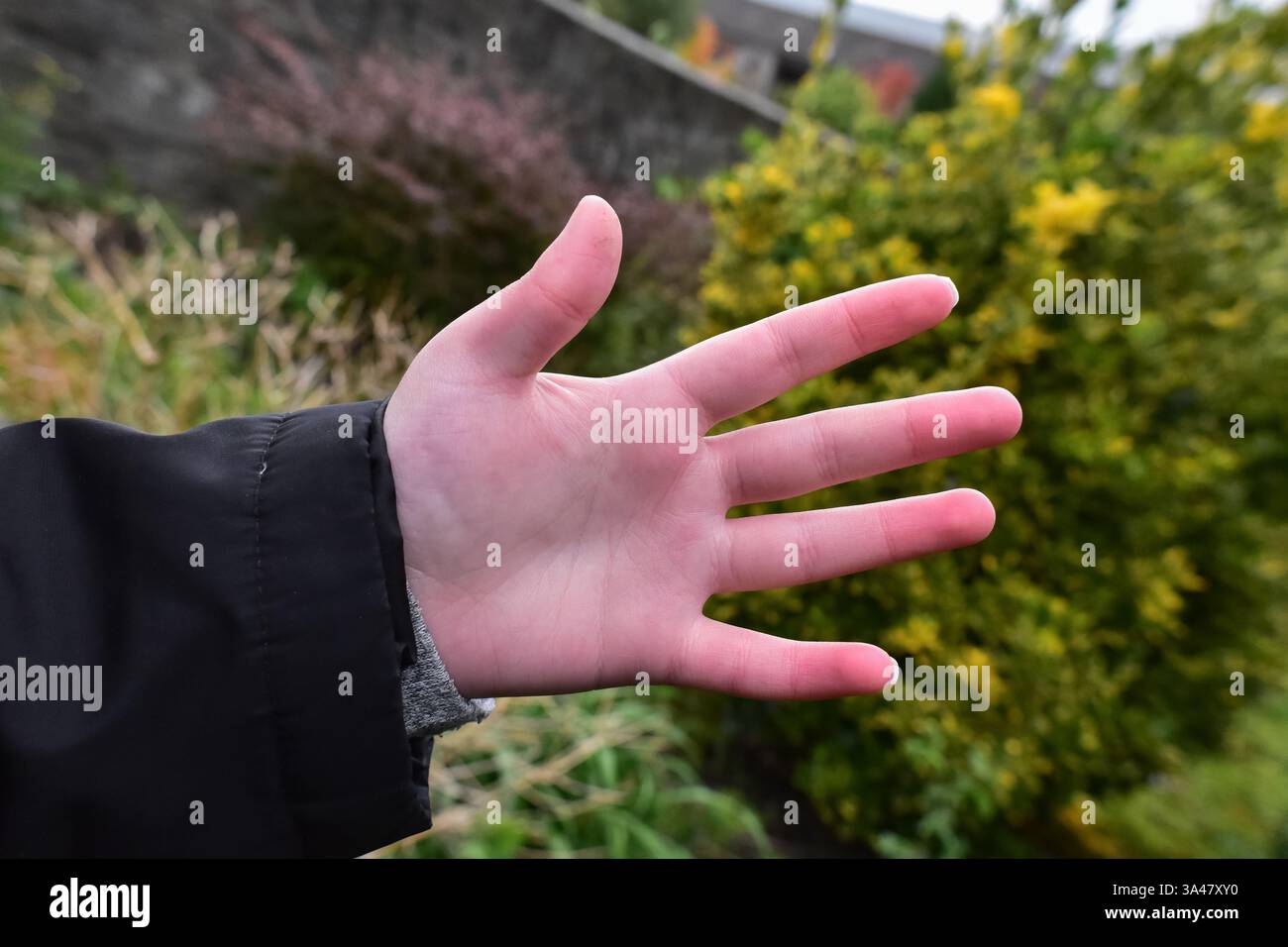 Woman's hand reaching out for a handshake in the park Stock Photo - Alamy