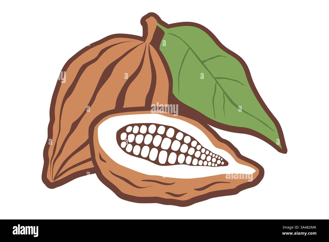 Vector vintage logo with cocoa on isolated background. Vector icon of ...