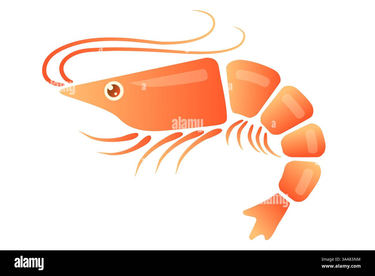 Vector icon of shrimp for Asian food. Vector illustration of shrimp in ...