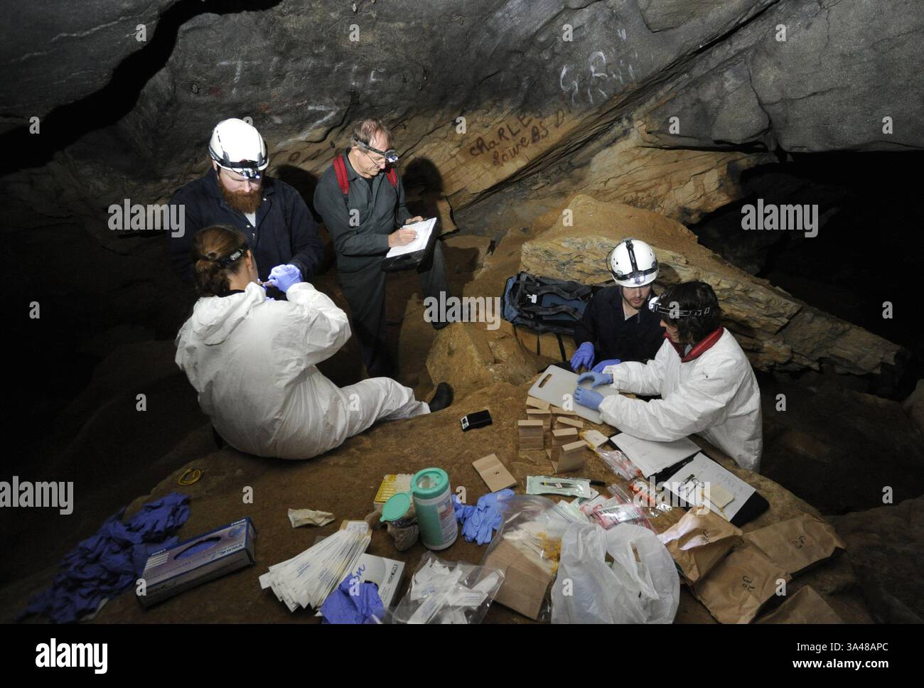 Dec. 16, 2011 - Campbell County, TN, USA - Bat researchers Amanda ...