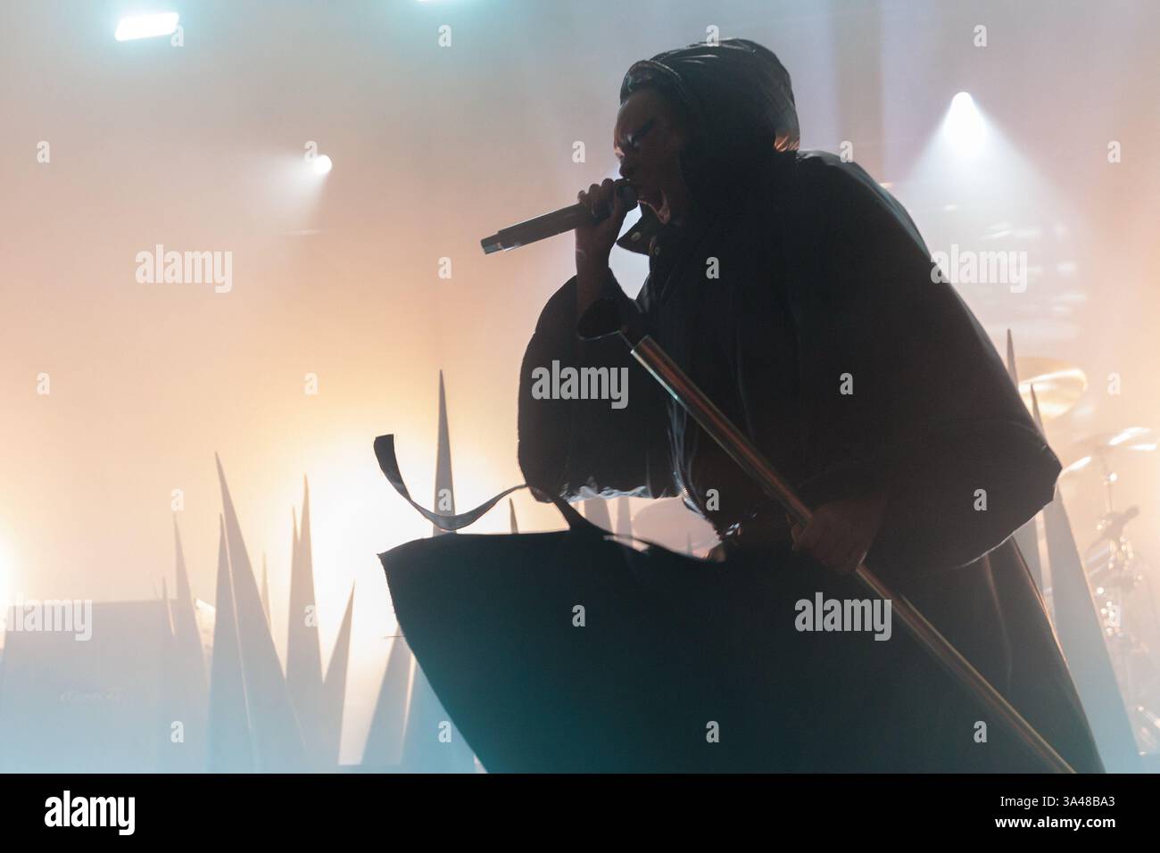 Berlin, Germany. 18th Mar, 2025. The singer Skin, real name Deborah ...