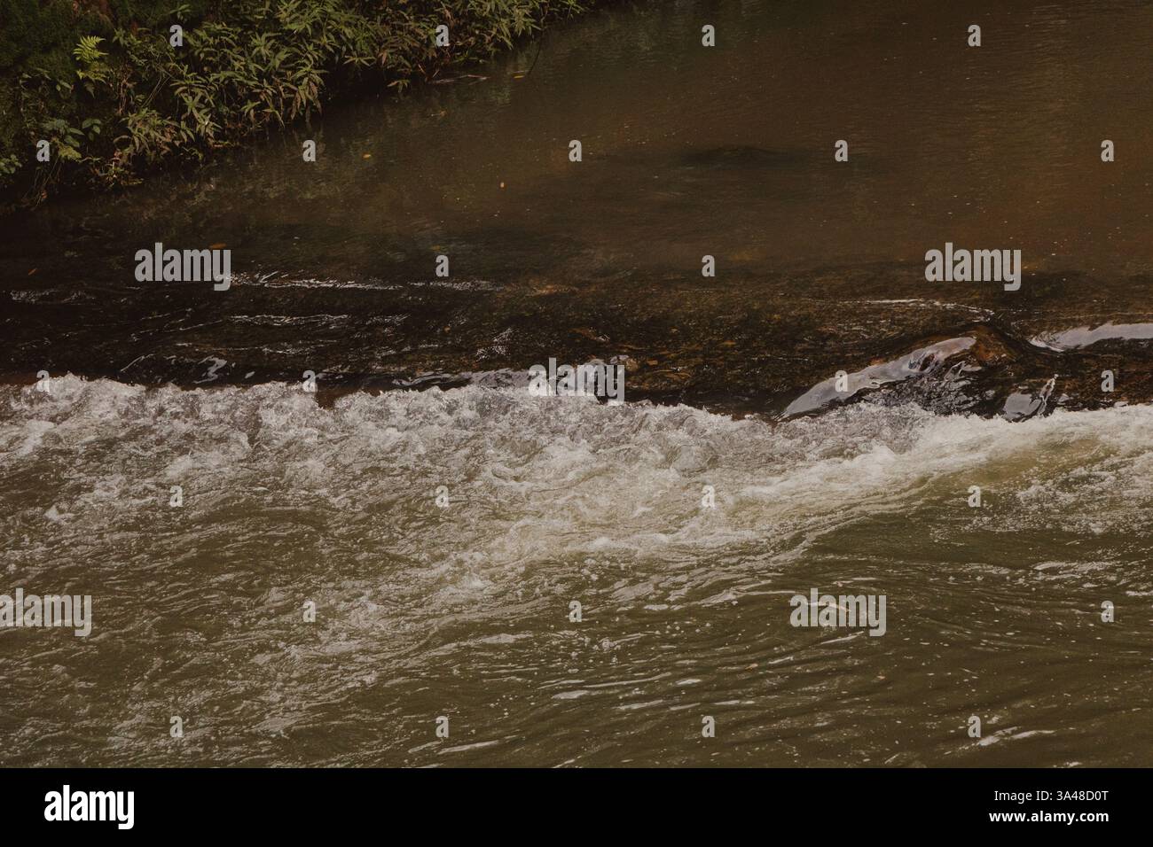 Flowing over rocky bed hi-res stock photography and images - Alamy
