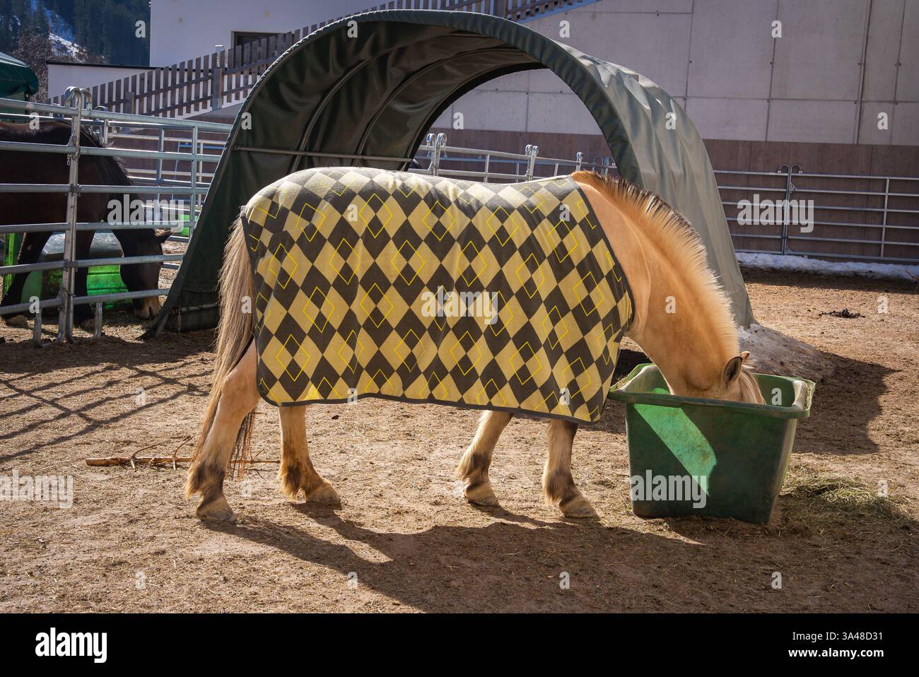 Horse in Diamond Patterned Blanket in Alpine Enclosure with Mountain ...