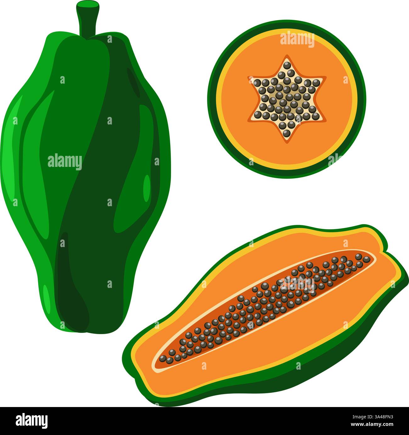 Papaya whole, halved and sliced vector illustration Stock Vector Image ...
