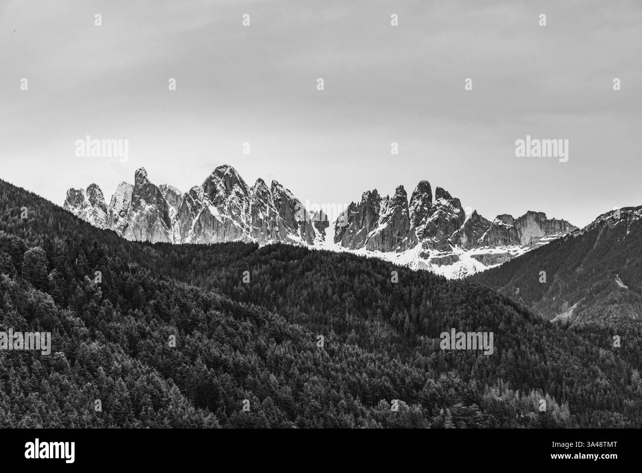 Group landscape Black and White Stock Photos & Images - Alamy