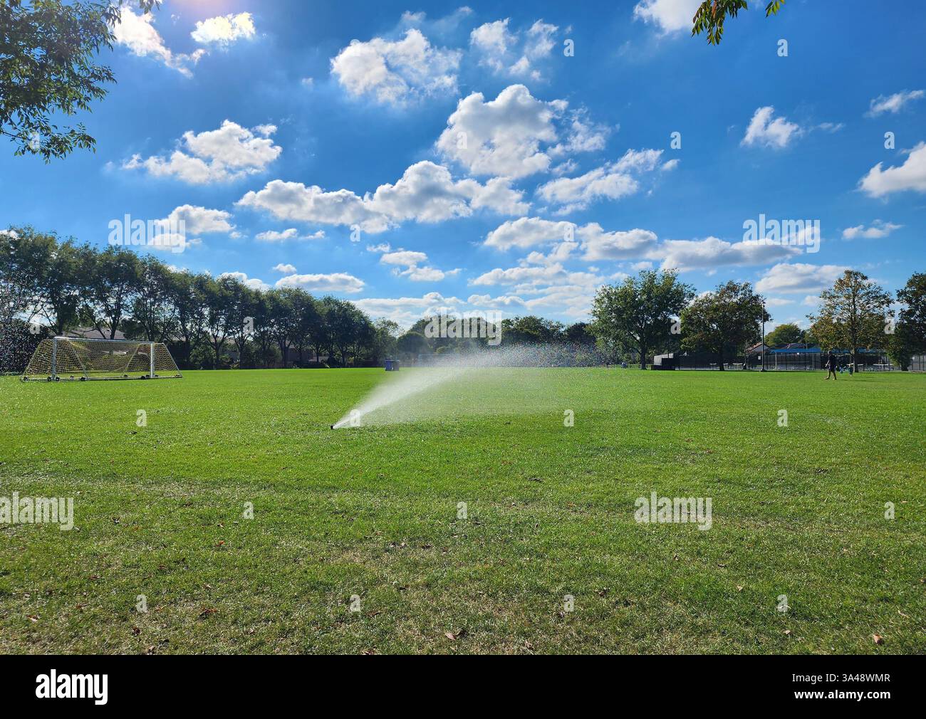 Football field irrigation. Irrigation turf. Sprinkler watering football ...