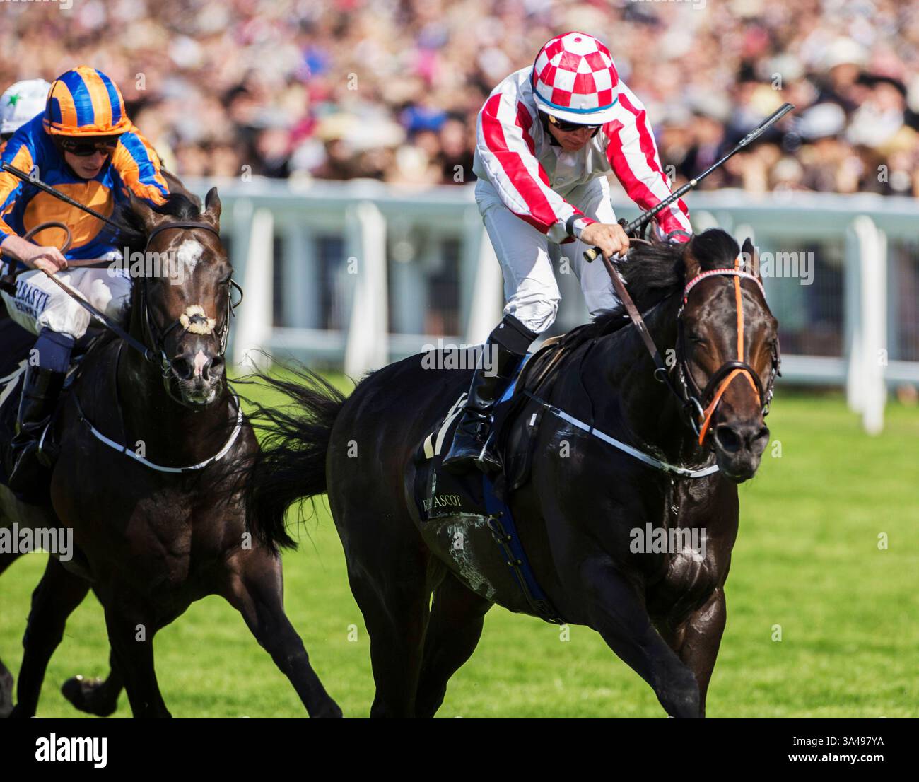 Lordan slade power hi-res stock photography and images - Alamy