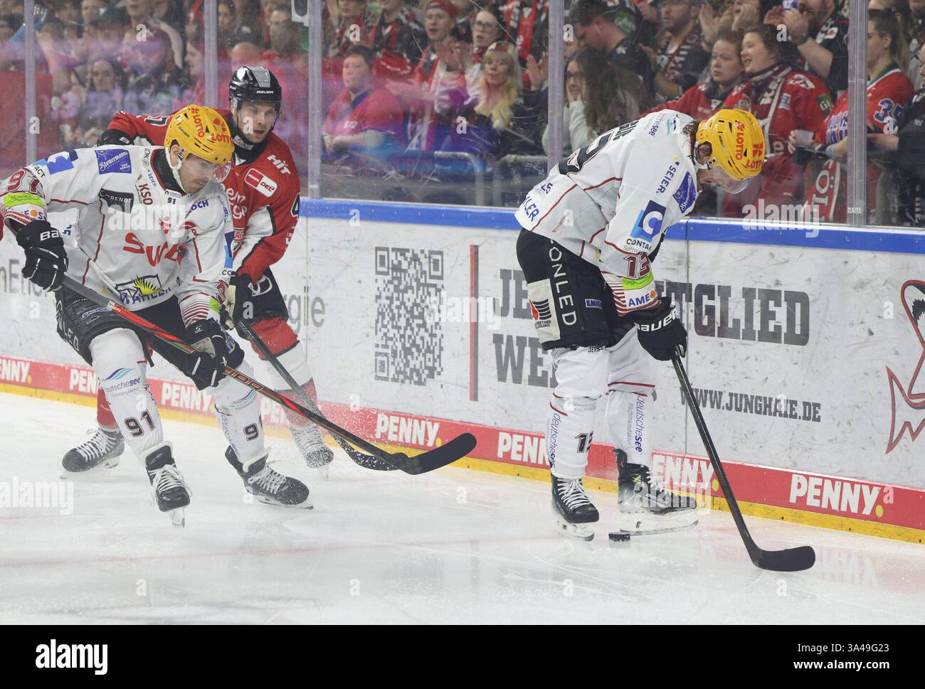 Koeln, Deutschland. 18th Mar, 2025. v.l. Miha Verlic (Pinguins ...