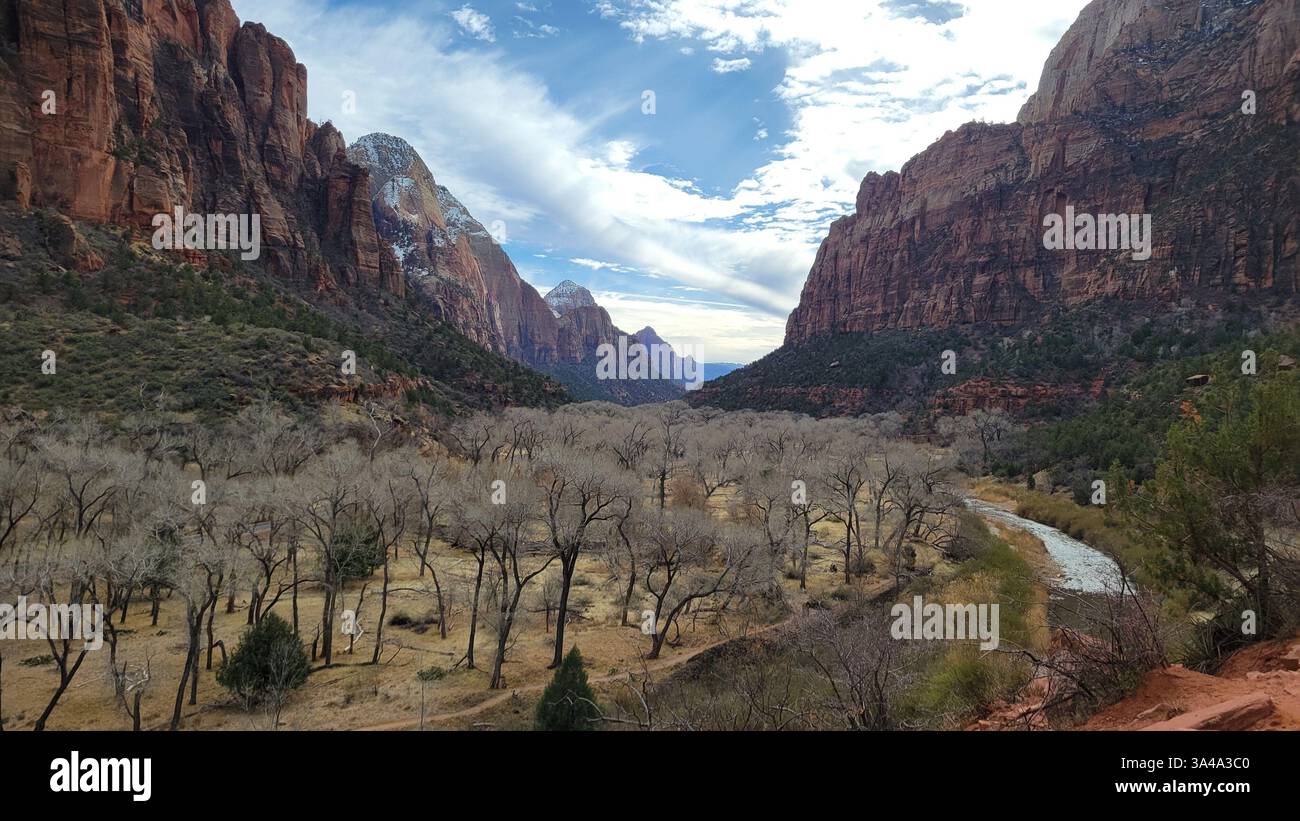 Dormant trees and the Virgin River in Zion Canyon Stock Photo - Alamy