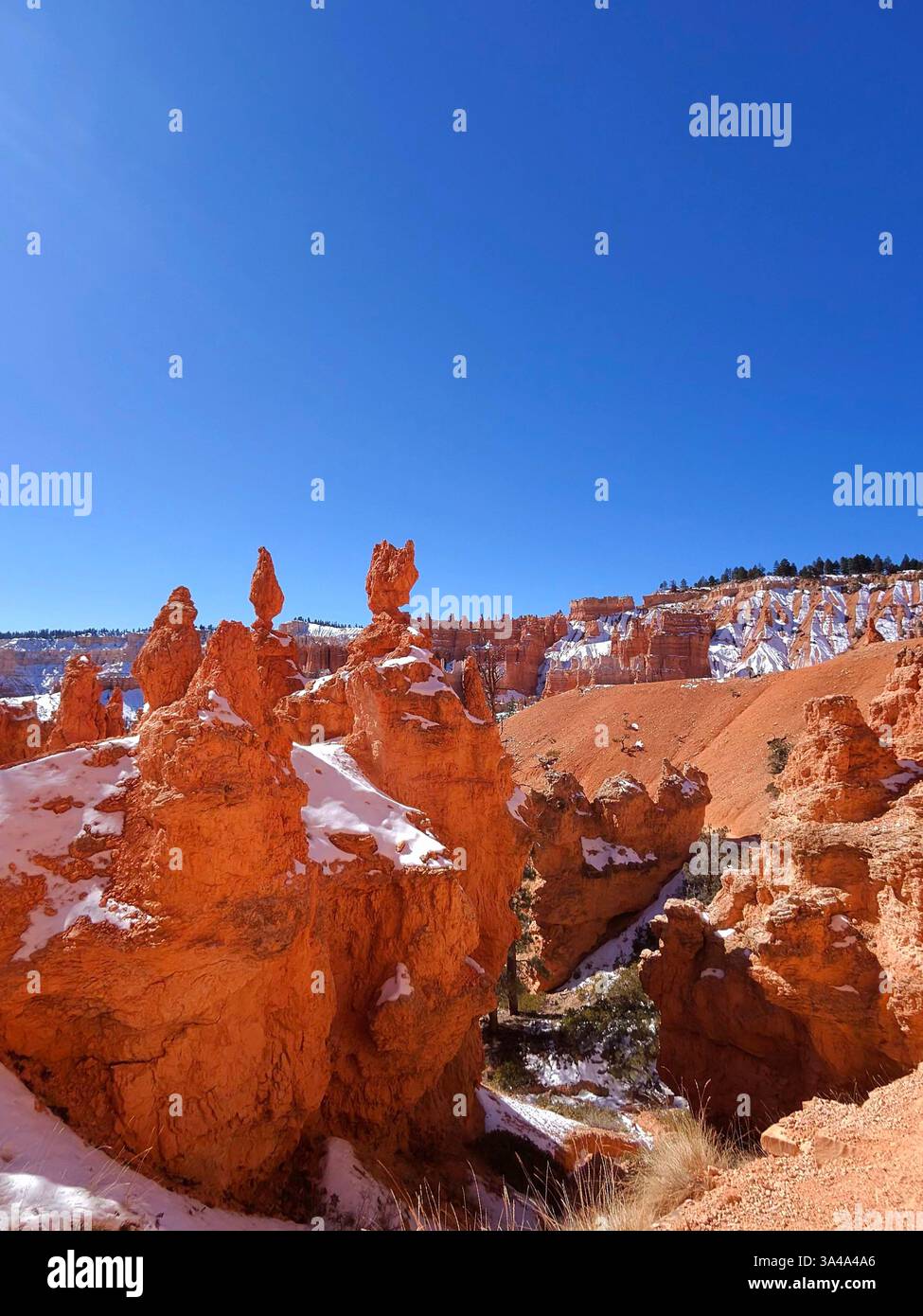 Winter landscape national park hi-res stock photography and images - Alamy