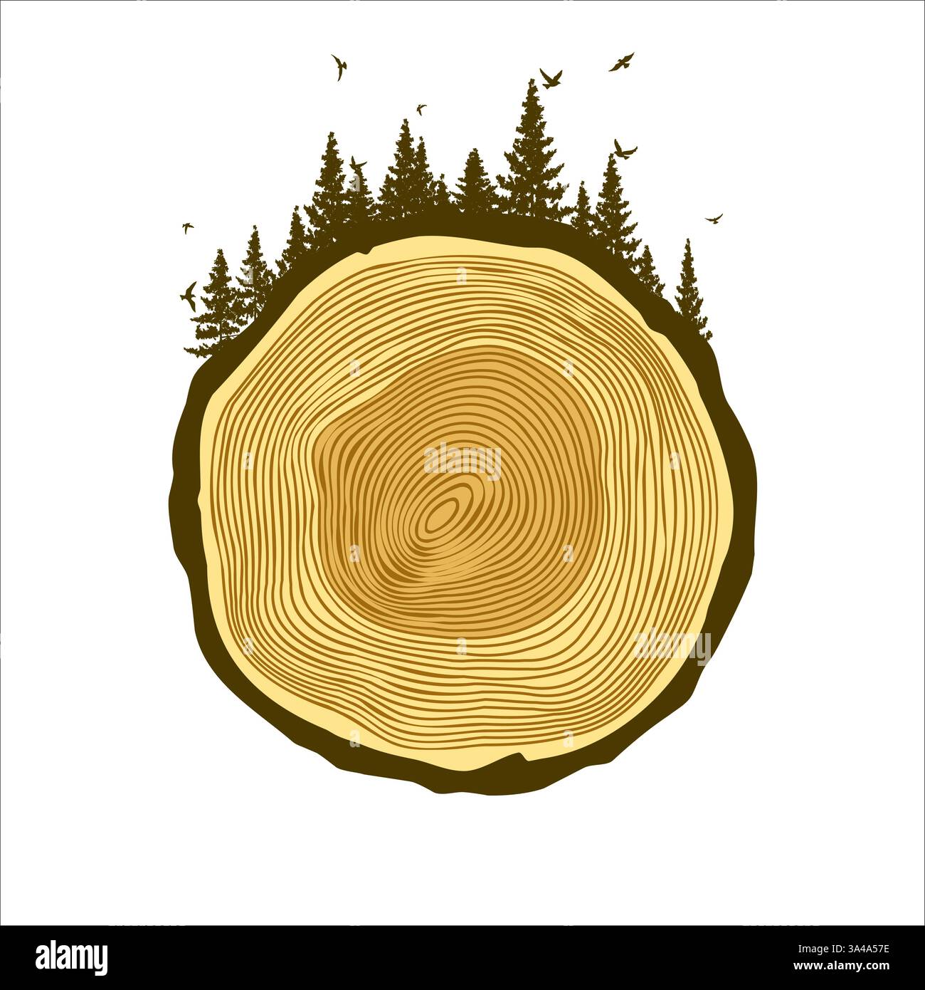 Round tree trunk cut with trees, forest and birds. Sawn pine or oak ...