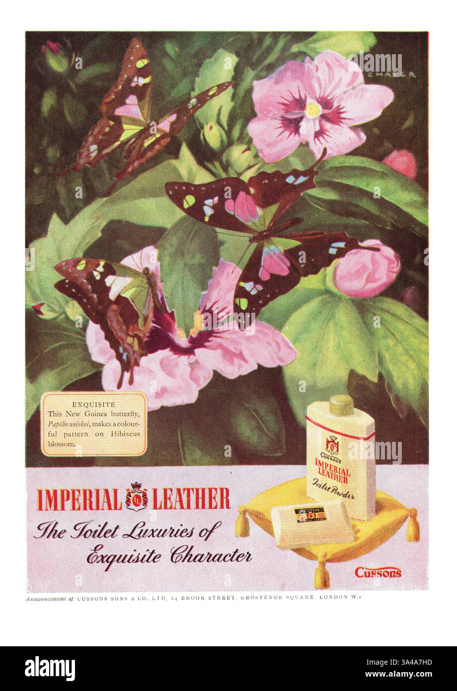 Imperial toilet hi-res stock photography and images - Alamy