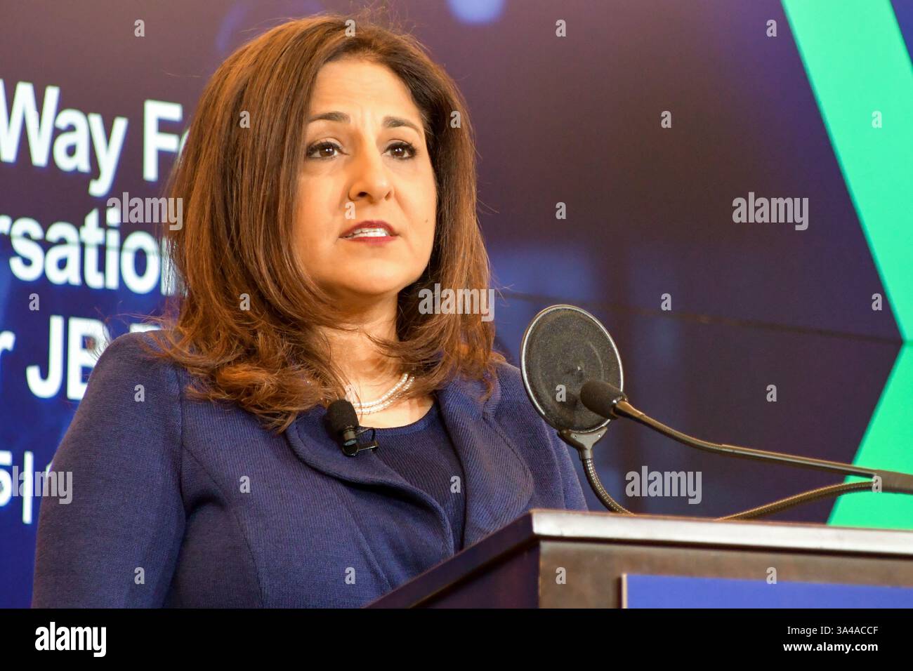 Neera Tanden, president and CEO of Center for American Progress, 18 Mar ...