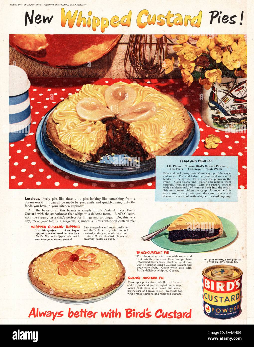 1952 UK advert Birds custard powder Stock Photo - Alamy