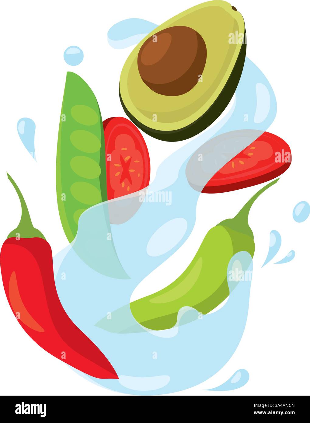 Fresh vegetables in water Stock Vector Images - Alamy