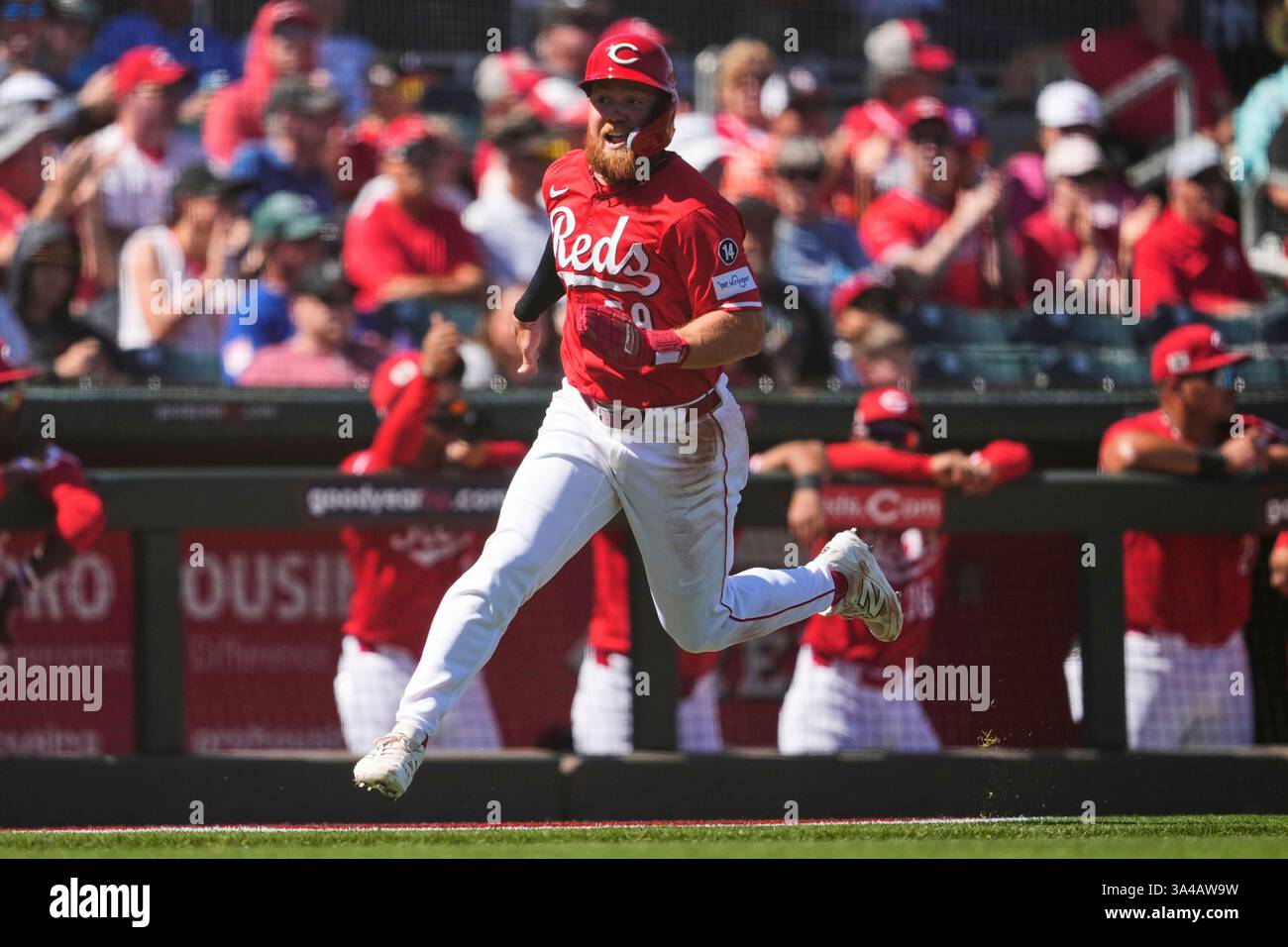 Cincinnati Reds' Blake Dunn rounds the bases to score on a base hit by ...