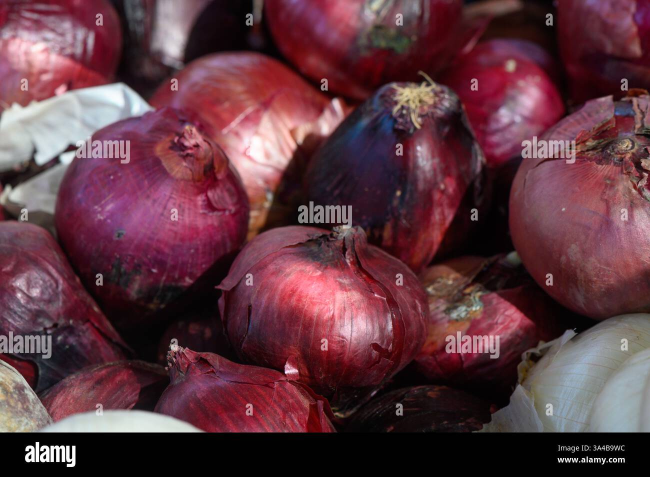 Vibrant red onions are piled together, showcasing their rich colors and ...