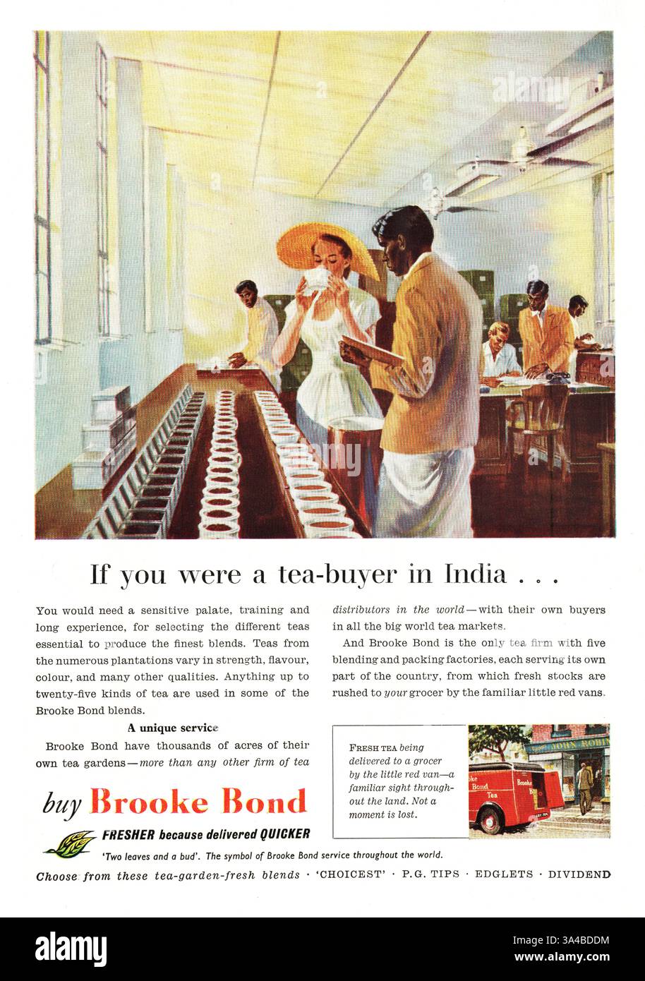 1953 UK magazine advert Brooke Bond tea Stock Photo - Alamy